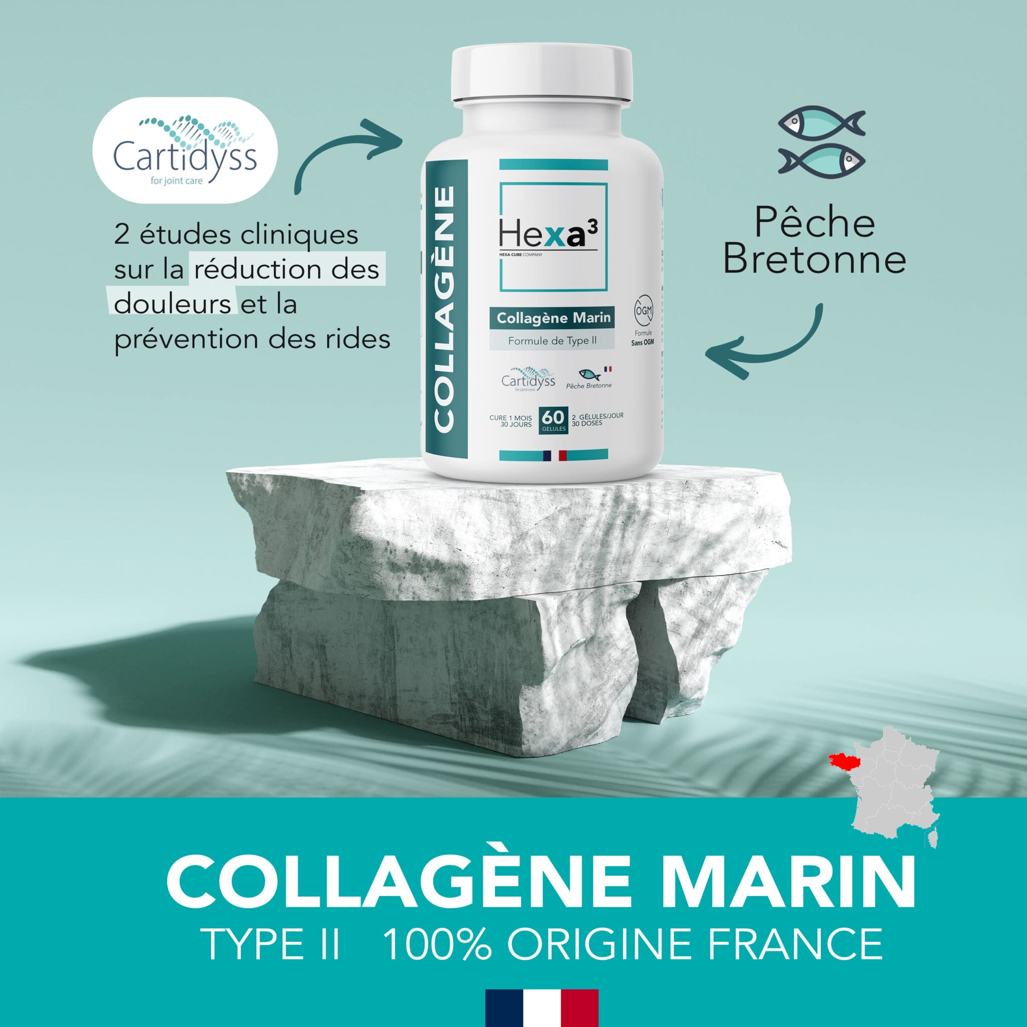 Collagène Marin Français Type II Cartidyss® 60 Caps | Hexa3